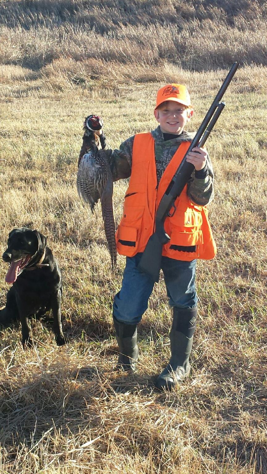 Will's first rooster - Shooting Sportsman