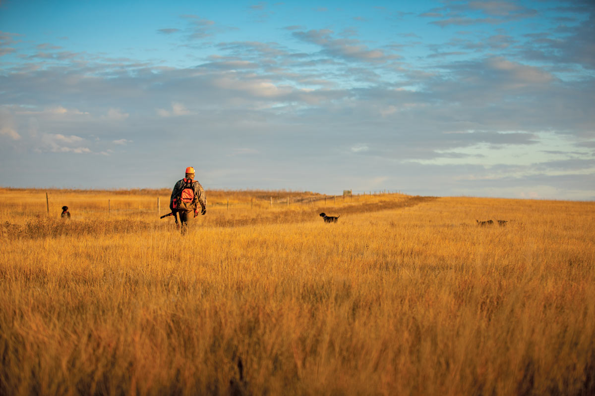 Down-Home Hunting at Winghaven Lodge | Shooting Sportsman