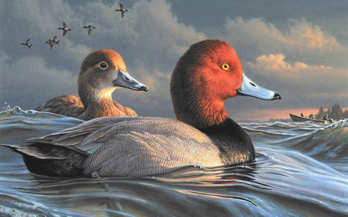 2022–’23 Federal Duck Stamp Winner Announced - Shooting Sportsman Magazine