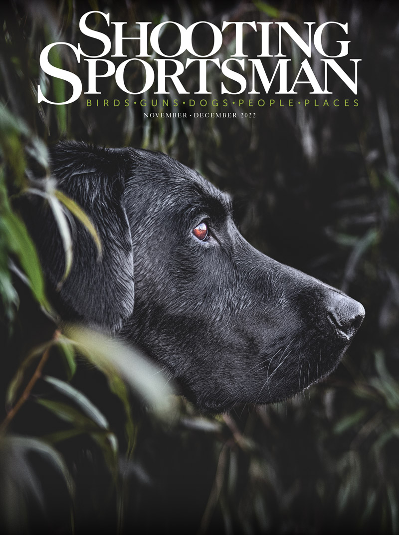 Birds, Bees & Butterflies – Shooting Sportsman